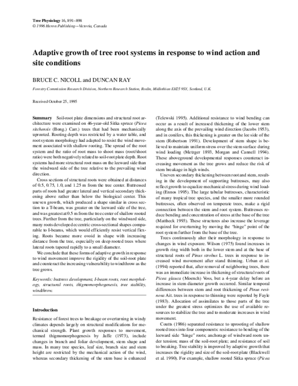 (PDF) Adaptive growth of tree root systems in response to wind action ...