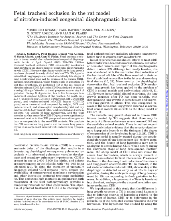 (PDF) Fetal tracheal occlusion in the rat model of nitrofen-induced ...