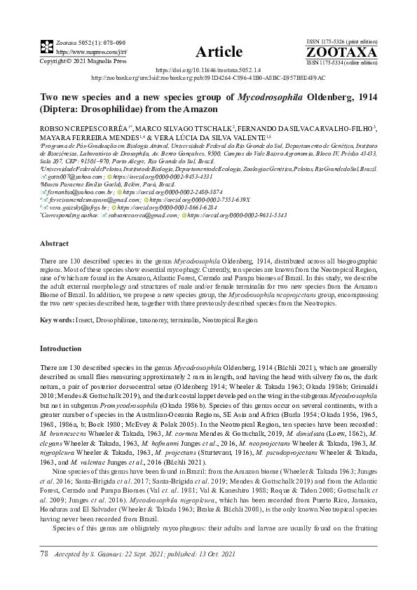 (PDF) Two new species and a new species group of Mycodrosophila ...