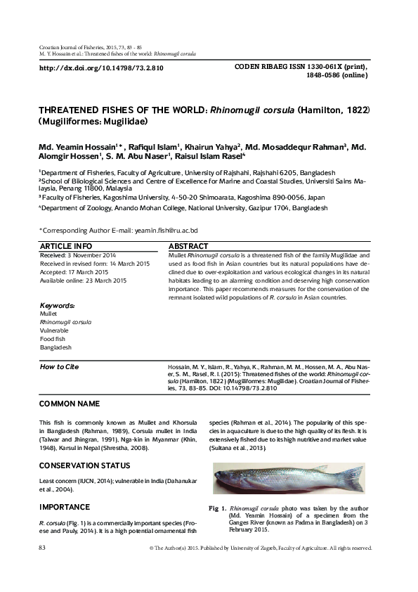 (PDF) THREATENED FISHES OF THE WORLD: Rhinomugil corsula (Hamilton ...