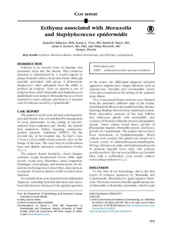 (PDF) Ecthyma associated with Moraxella and Staphylococcus epidermidis