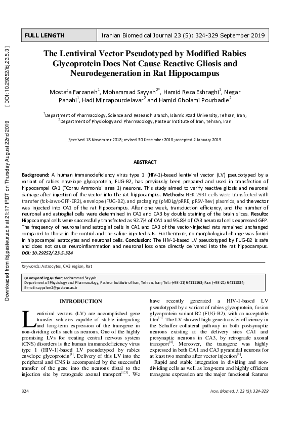 (PDF) The Lentiviral Vector Pseudotyped by Modified Rabies Glycoprotein ...