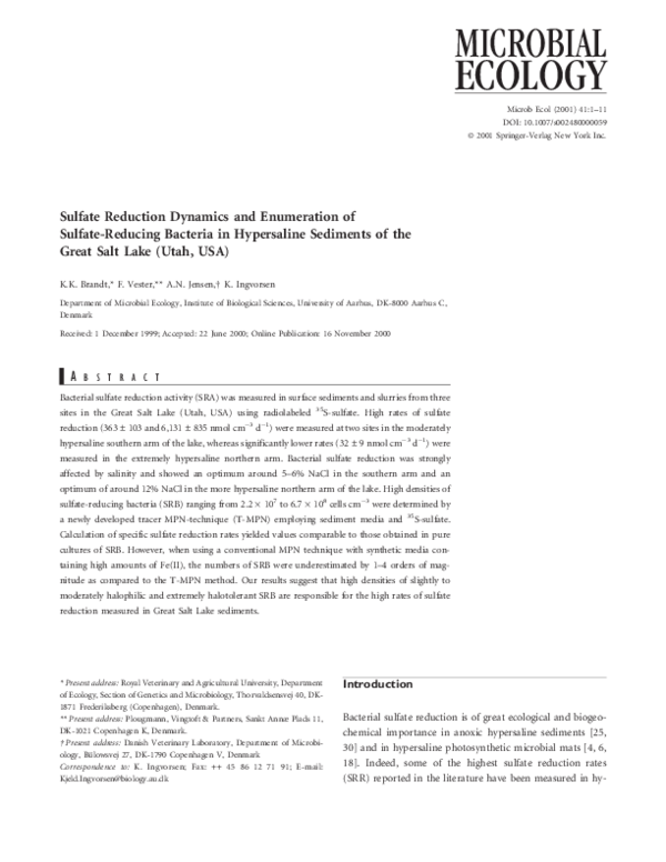 (PDF) Sulfate Reduction Dynamics and Enumeration of Sulfate-Reducing ...