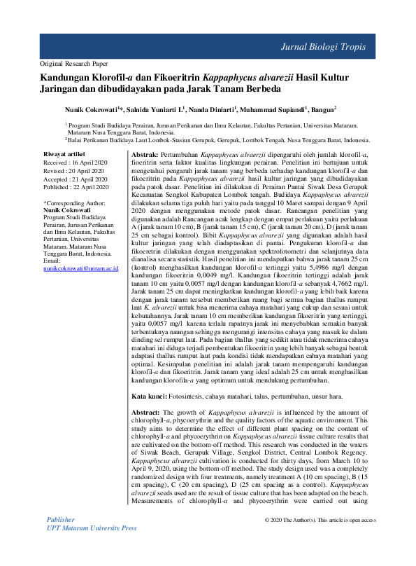 (PDF) KANDUNGAN KLOROFIL-a DAN FIKOERITRIN KAPPAPHYCUS ALVAREZII HASIL ...