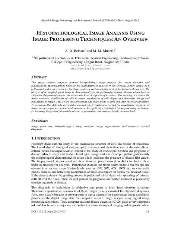 (PDF) Histopathological Image Analysis Using Image Processing Techniques: An Overview