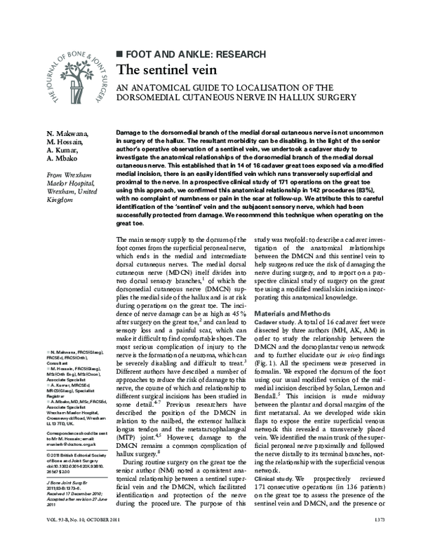 (PDF) The sentinel vein: An anatomical guide to localisation of the ...