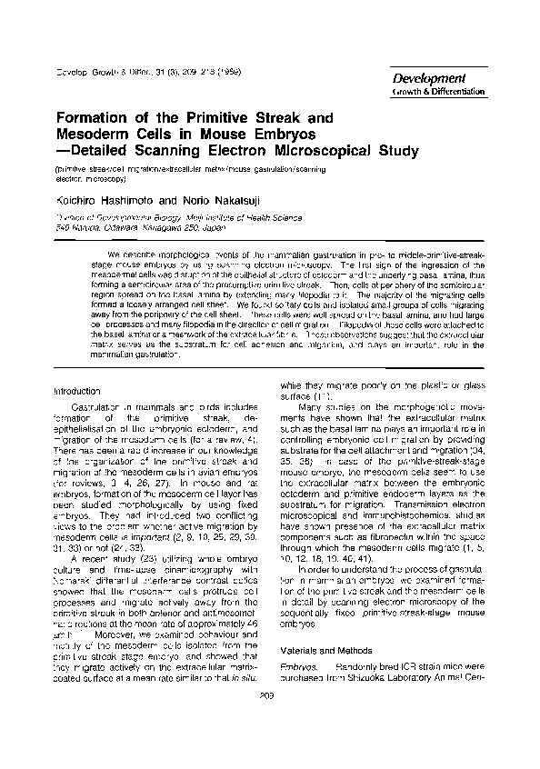 (PDF) Formation of the Primitive Streak and Mesoderm Cells in Mouse ...