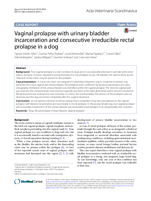 (PDF) Vaginal prolapse with urinary bladder incarceration and ...