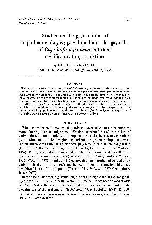 (PDF) Studies on the gastrulation of amphibian embryos: pseudopodia in ...