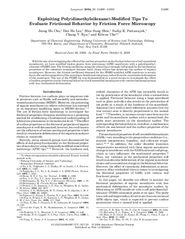 (PDF) Exploiting Poly(dimethylsiloxane)-Modified Tips To Evaluate ...