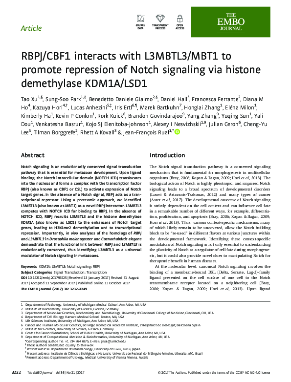 (PDF) RBPJ/CBF1 interacts with L3MBTL3/MBT1 to promote repression of ...