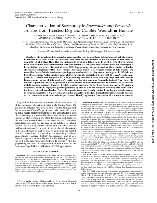 (PDF) Characterization of saccharolytic Bacteroides and Prevotella ...