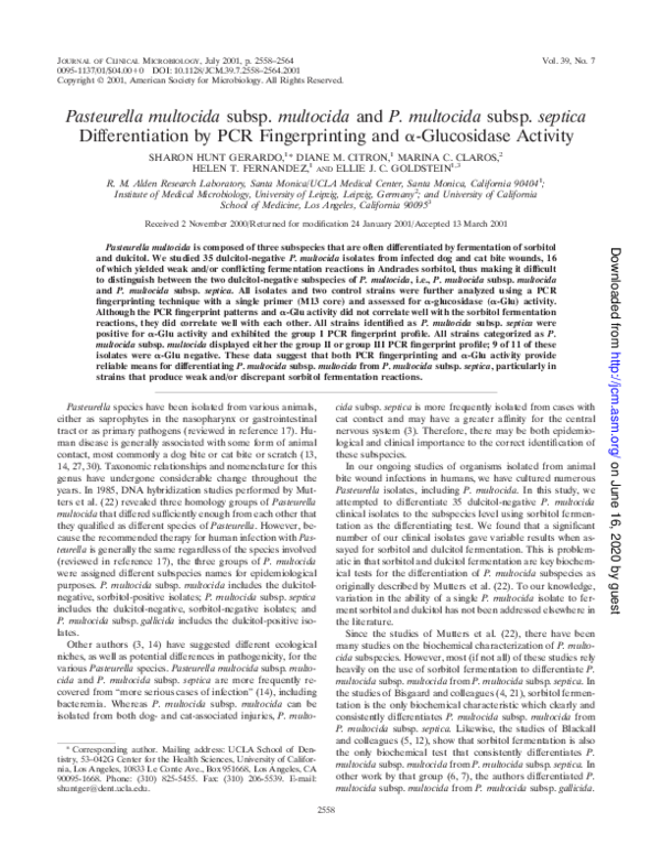 (PDF) Pasteurella multocida subsp. multocida and P. multocida subsp. septica Differentiation by ...