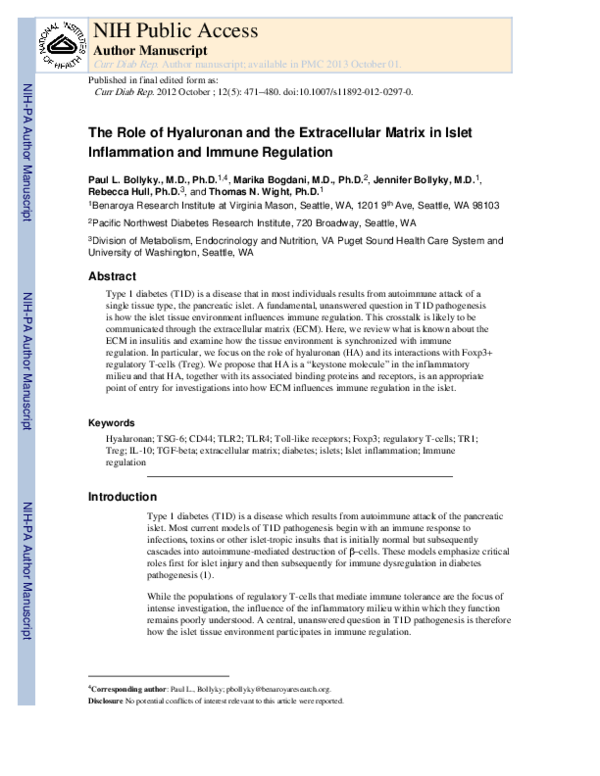 (PDF) The Role of Hyaluronan and the Extracellular Matrix in Islet ...