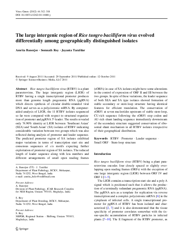 (PDF) The large intergenic region of Rice tungro bacilliform virus ...
