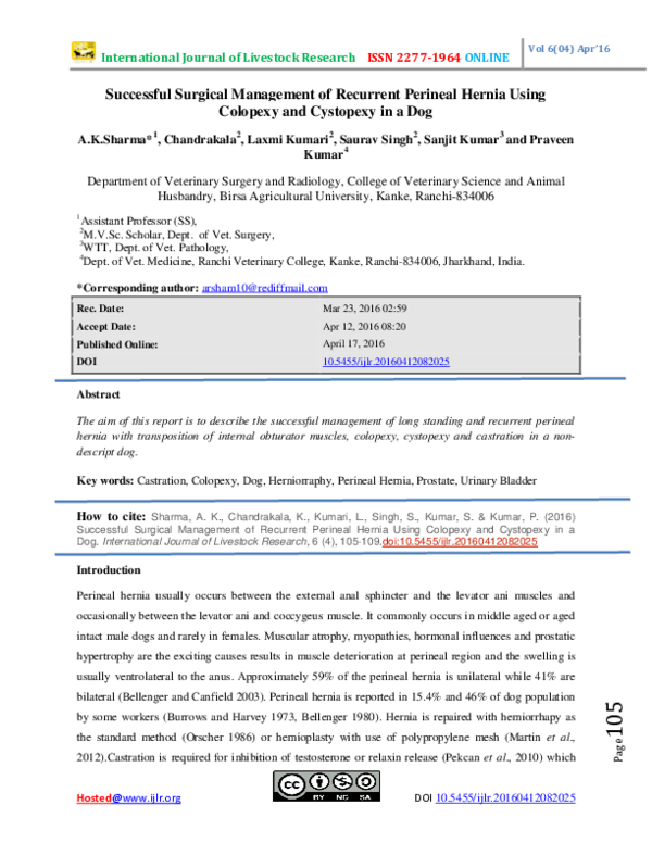 (PDF) Successful surgical management of recurrent perineal hernia using ...