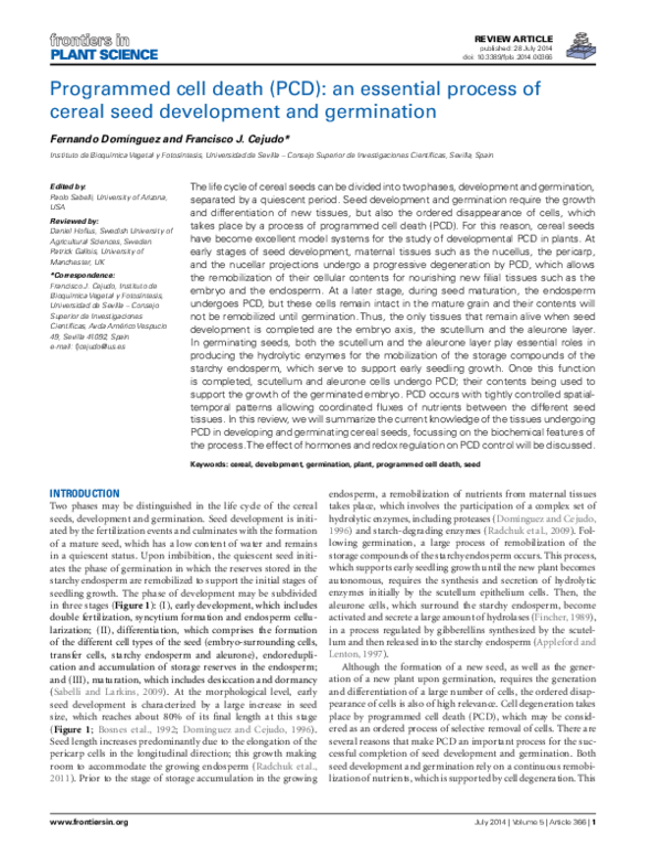(PDF) Programmed cell death (PCD): an essential process of cereal seed ...