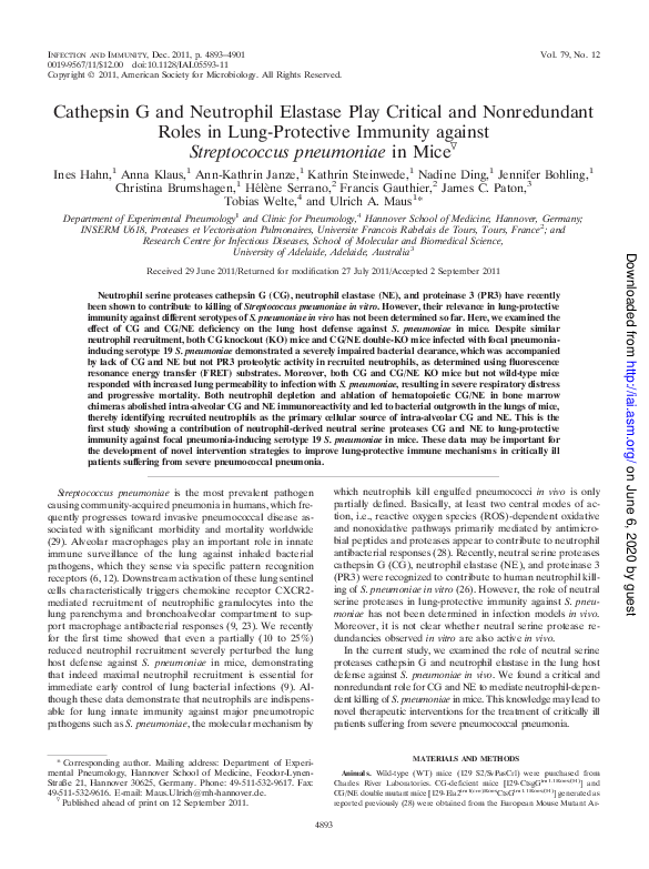(PDF) Cathepsin G and Neutrophil Elastase Play Critical and ...