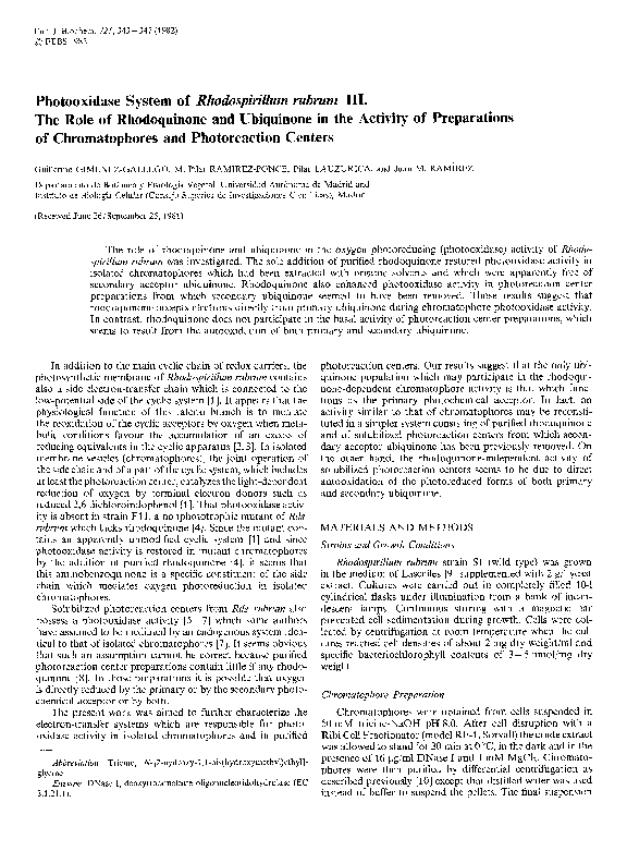 (PDF) Photooxidase System of Rhodospirillum rubrum 111. The Role of ...