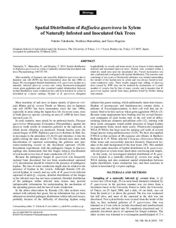 (PDF) Spatial distribution of Raffaelea quercivora in xylem of ...