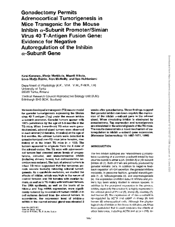 (PDF) Gonadectomy permits adrenocortical tumorigenesis in mice ...
