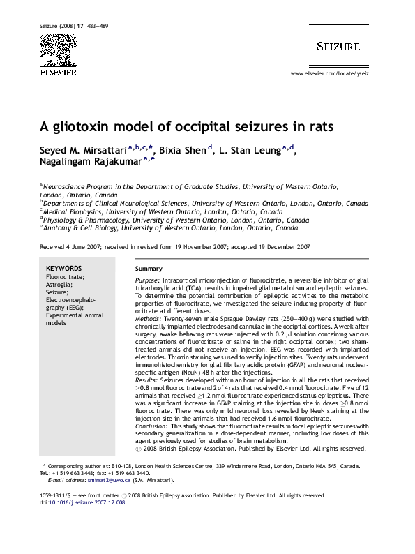 (PDF) A gliotoxin model of occipital seizures in rats