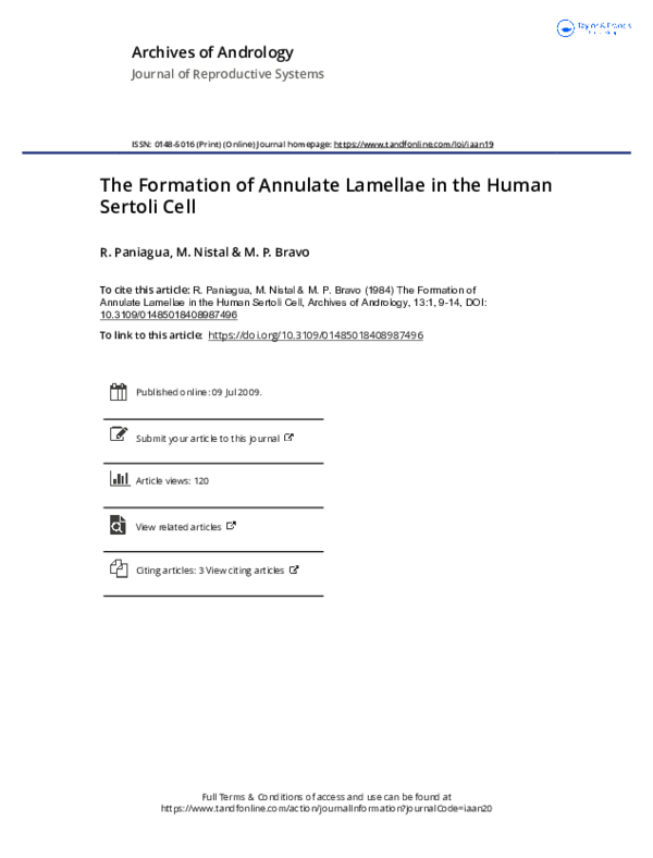 (PDF) The Formation of Annulate Lamellae in the Human Sertoli Cell