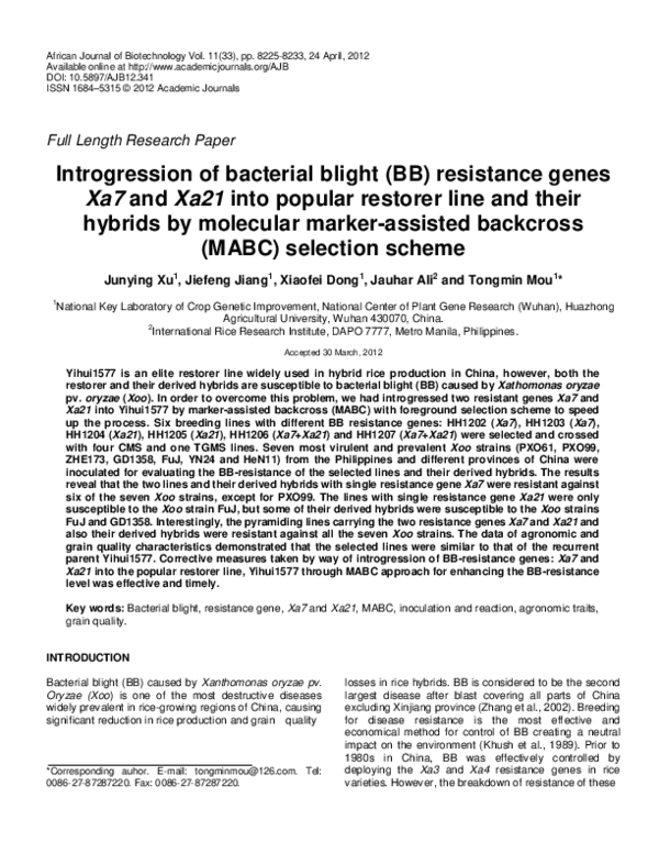 (PDF) Introgression of bacterial blight (BB) resistance genes Xa7 and Xa21 into popular restorer ...
