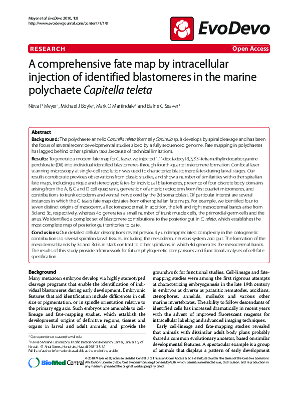 (PDF) A comprehensive fate map by intracellular injection of identified ...