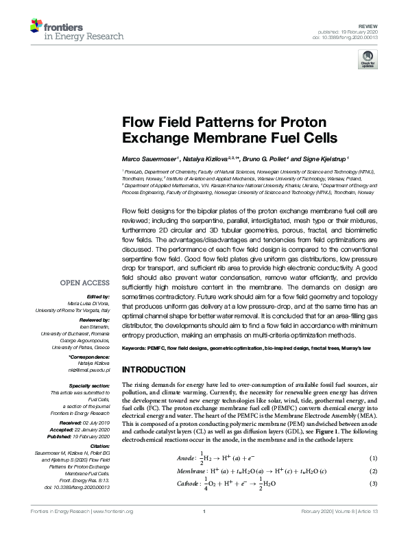(PDF) Flow Field Patterns for Proton Exchange Membrane Fuel Cells