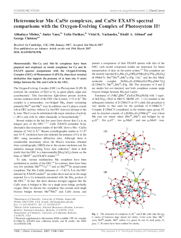 (PDF) Heteronuclear Mn?Ca/Sr complexes, and Ca/Sr EXAFS spectral ...