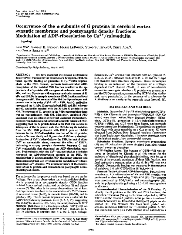 (PDF) Occurrence of the alpha subunits of G proteins in cerebral cortex ...