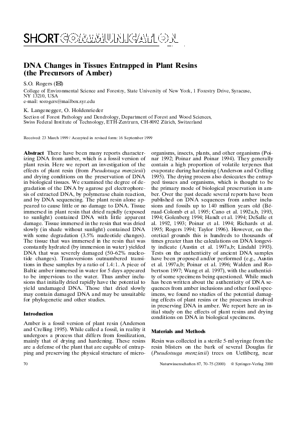 (PDF) DNA Changes in Tissues Entrapped in Plant Resins (the Precursors ...