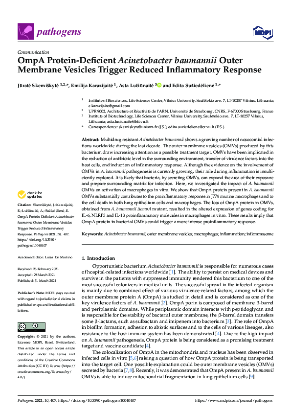 (PDF) OmpA Protein-Deficient Acinetobacter baumannii Outer Membrane ...