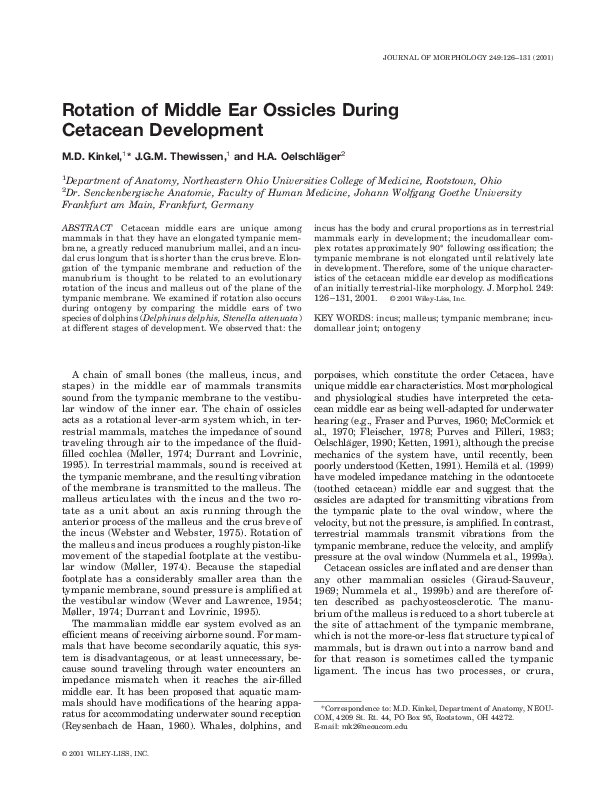 (PDF) Rotation of middle ear ossicles during cetacean development
