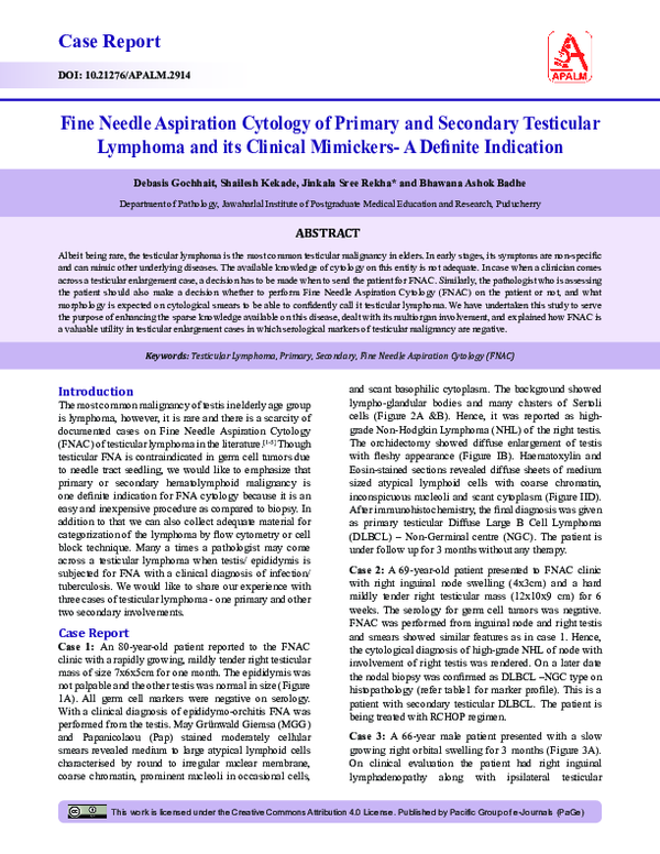 (PDF) FNAC in Testicular Lymphoma Diagnosis