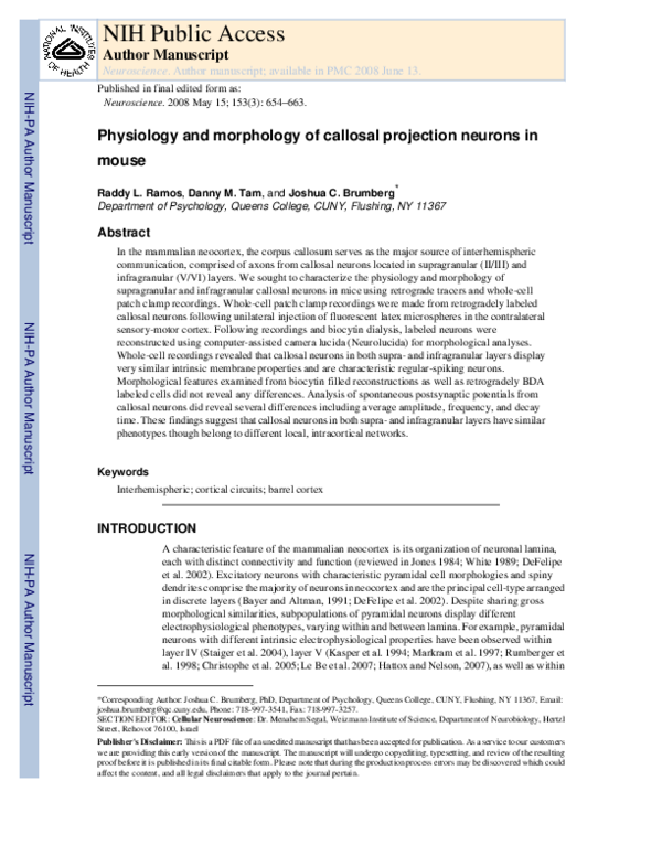 (PDF) Physiology and morphology of callosal projection neurons in mouse
