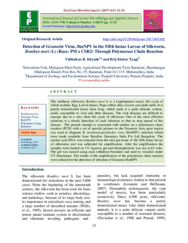 (PDF) Detection of Grasserie Virus, BmNPV in the Fifth Instar Larvae of ...