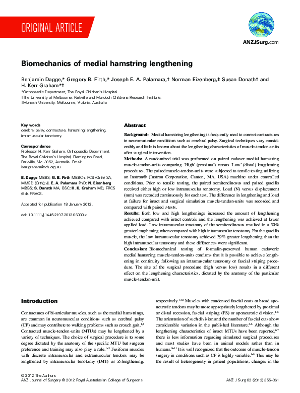 (PDF) Biomechanics of medial hamstring lengthening