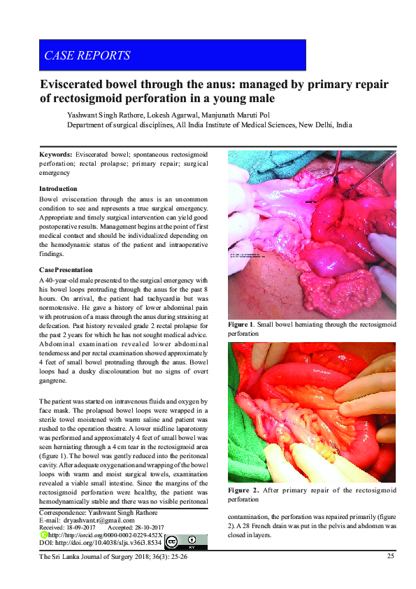 (PDF) Eviscerated bowel through the anus: managed by primary repair of ...