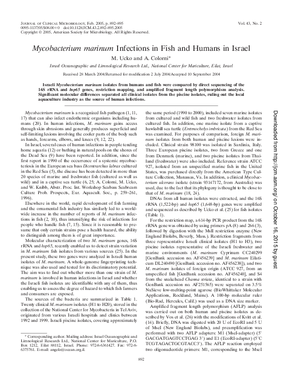 (PDF) Mycobacterium marinum Infections in Fish and Humans in Israel