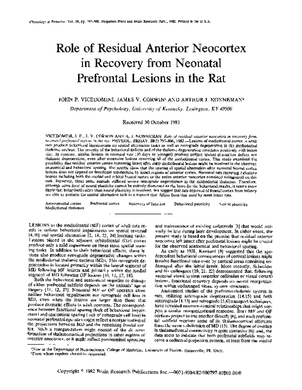 (PDF) Role of residual anterior neocortex in recovery from neonatal ...