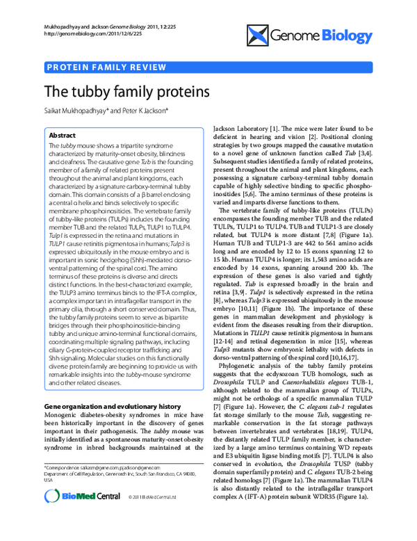 (PDF) The tubby family proteins