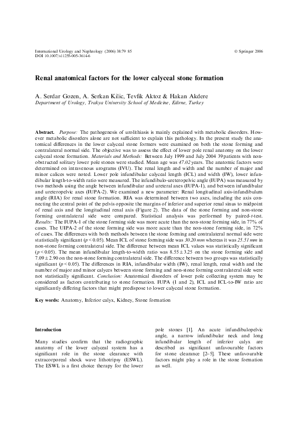 (PDF) Renal Anatomical Factors for the Lower Calyceal Stone Formation