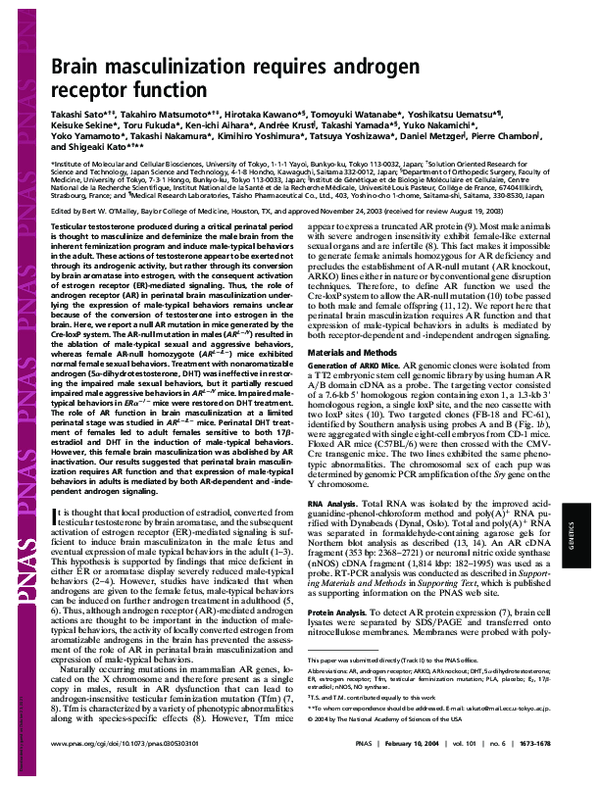 (PDF) Brain masculinization requires androgen receptor function