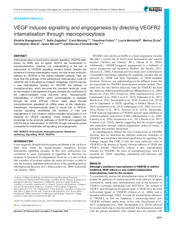 (PDF) VEGF Drives VEGFR2 Internalization via Macropinocytosis