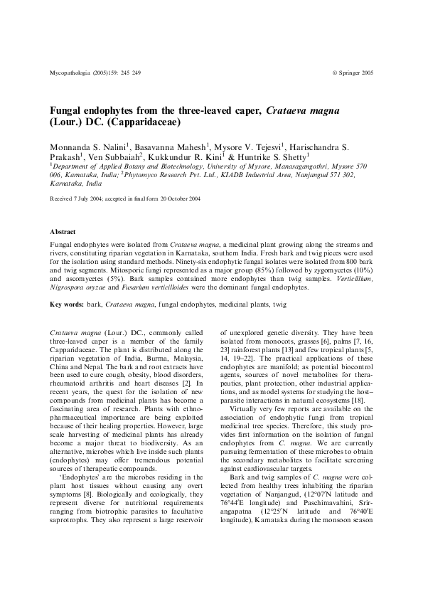 (PDF) Fungal endophytes from the three-leaved caper, Crataeva magna ...