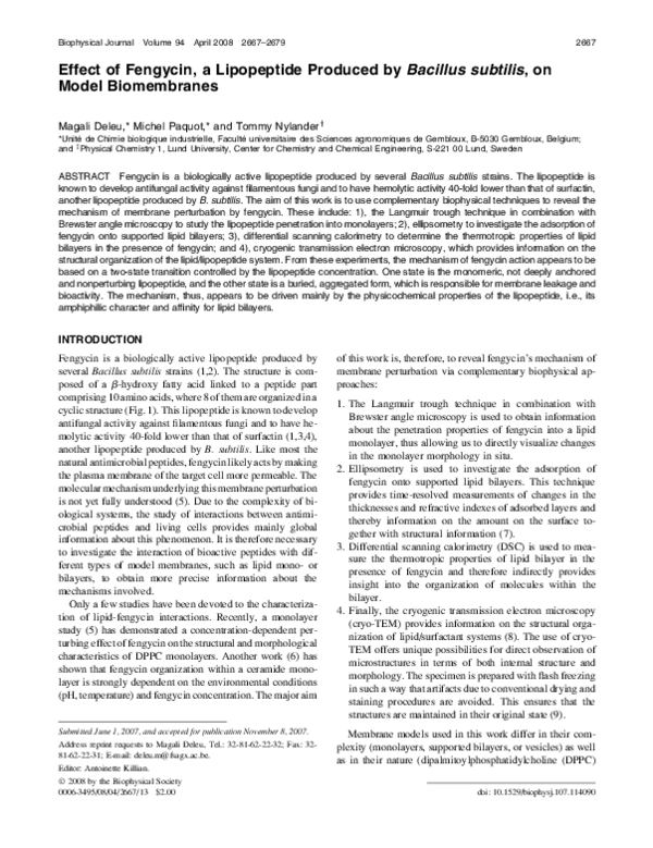 (PDF) Effect of Fengycin, a Lipopeptide Produced by Bacillus subtilis ...