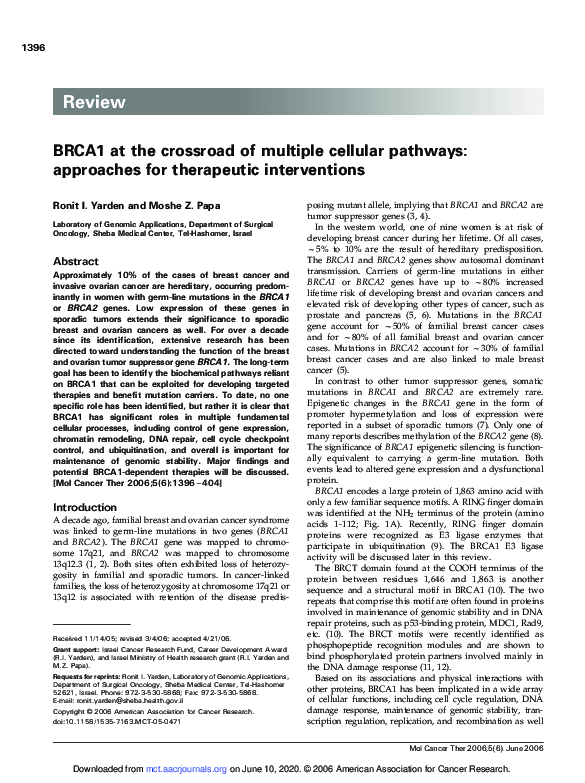 (PDF) BRCA1 at the crossroad of multiple cellular pathways: approaches for therapeutic interventions