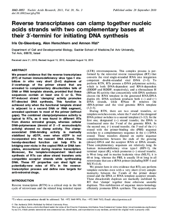 (PDF) Reverse transcriptases can clamp together nucleic acids strands ...